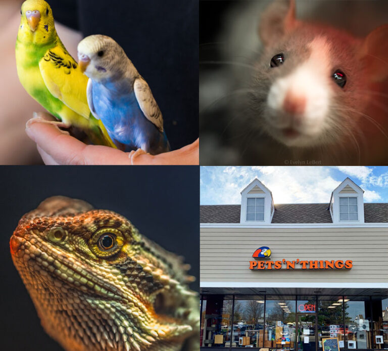 Ann Arbor, MI Locally Owned Pet Shop | The Pet Emporium